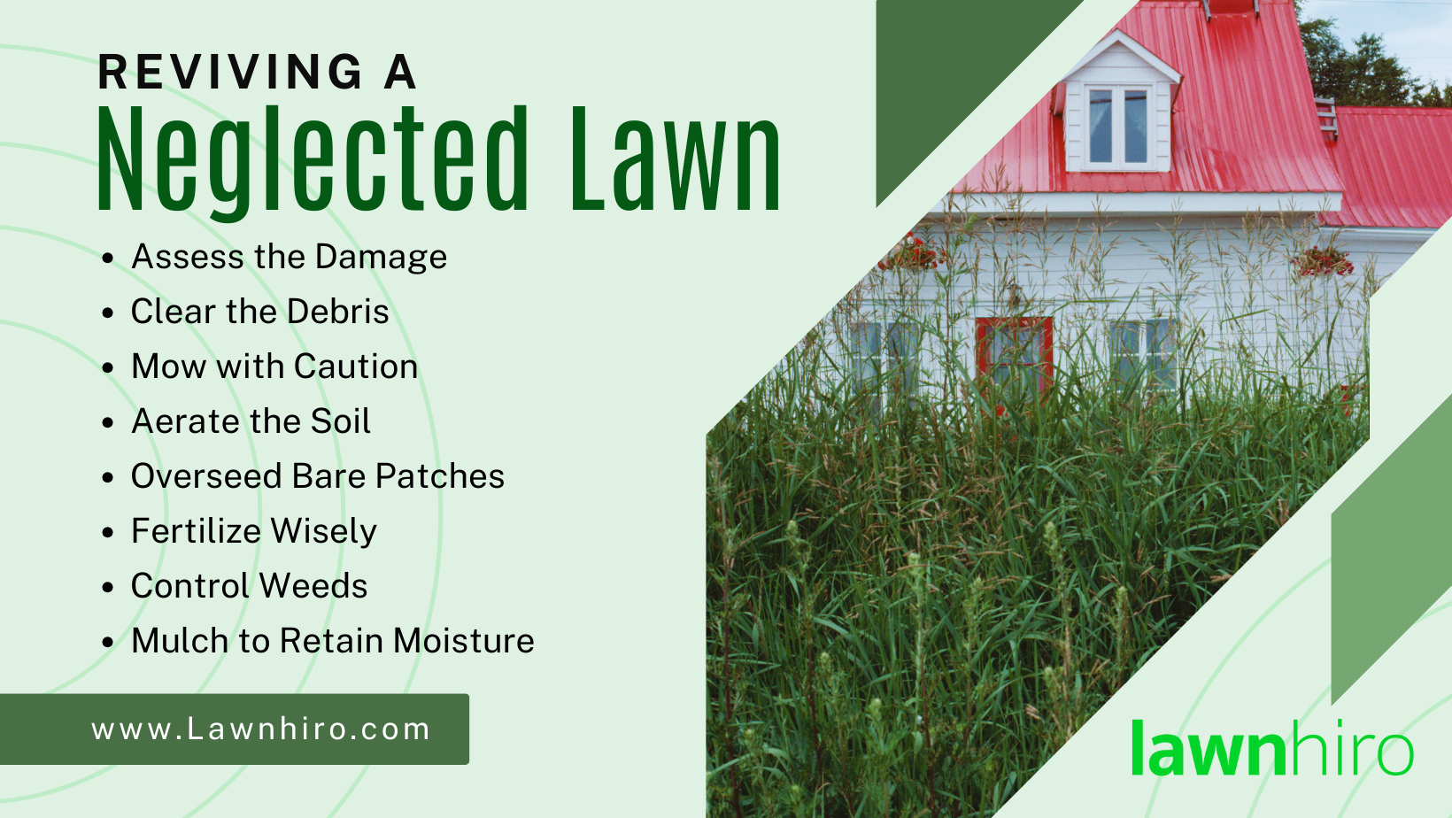 How to Revive a Neglected Lawn: A Step-by-Step Guide - Lawnhiro How to Revive a Neglected Lawn: A Step-by-Step Guide - Lawnhiro