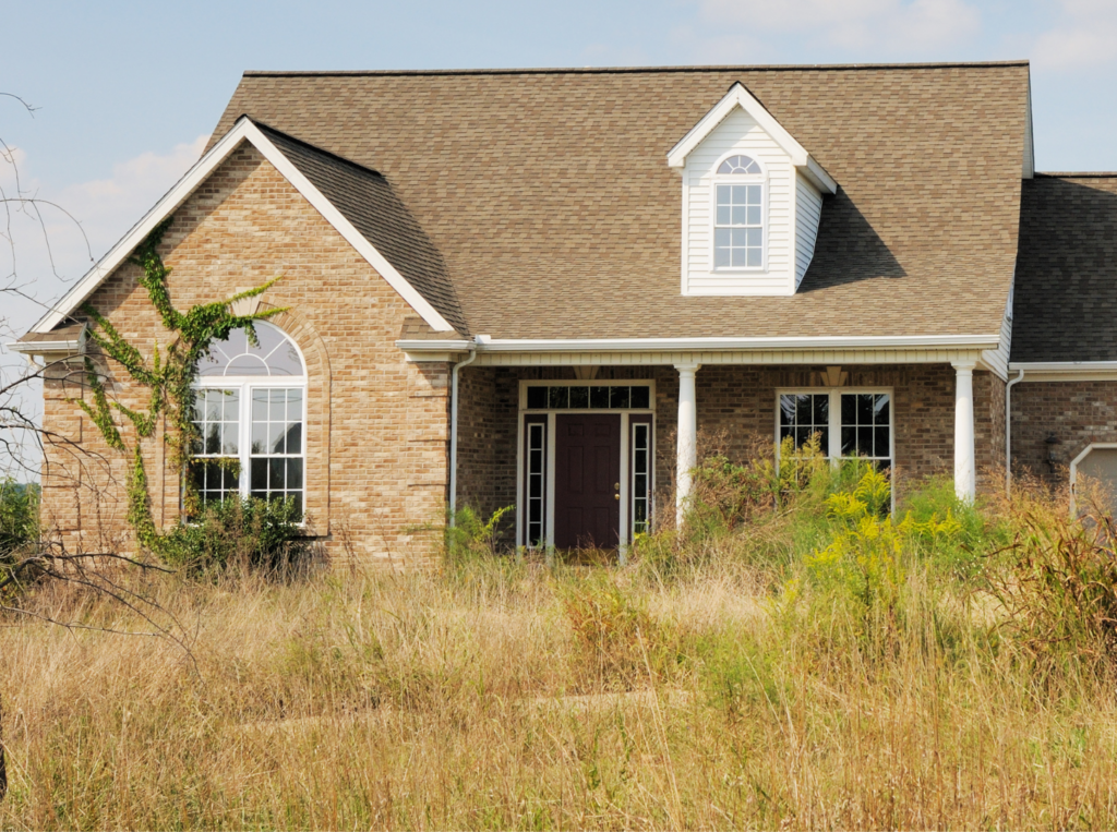 How to Revive a Neglected Lawn: A Step-by-Step Guide - Lawnhiro How to Revive a Neglected Lawn: A Step-by-Step Guide - Lawnhiro